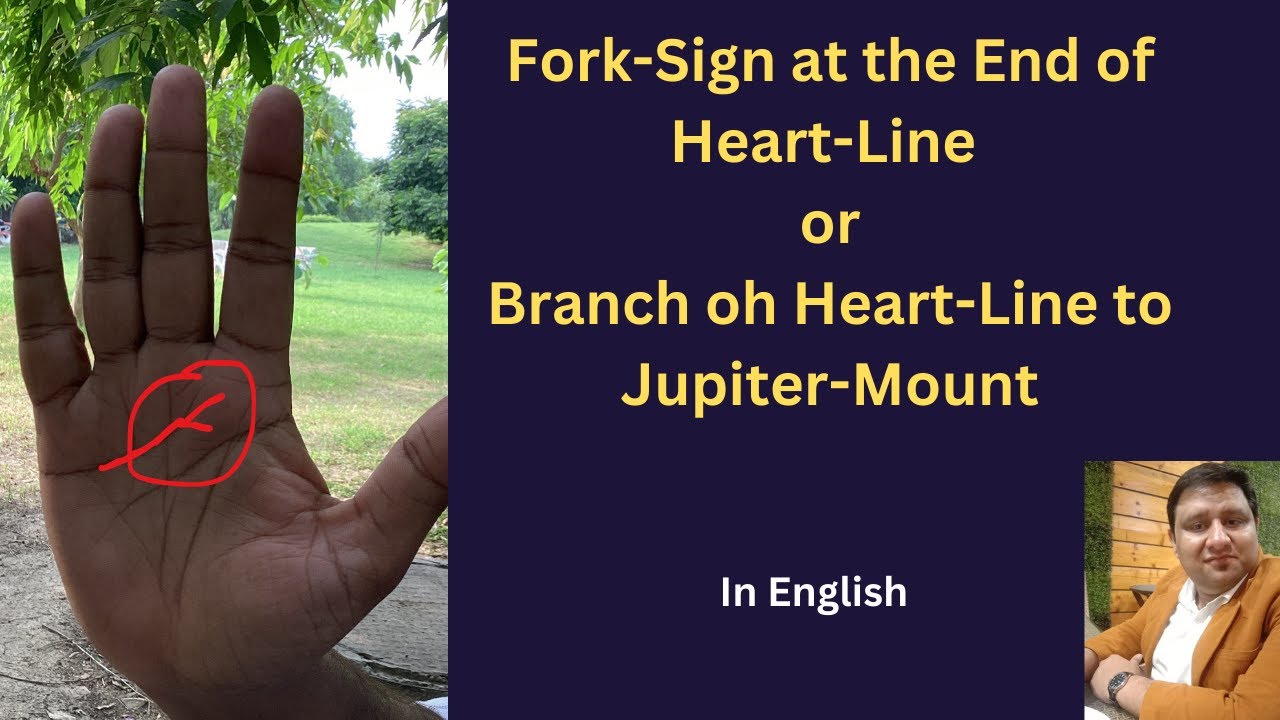 Fork-Sign at the End of Heart-Line or Branch of Heart-Line to Jupiter ...