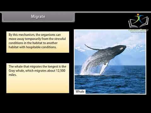 Class 12 BIOLOGY || Chapter Organisms and Population || CBSE - YouTube