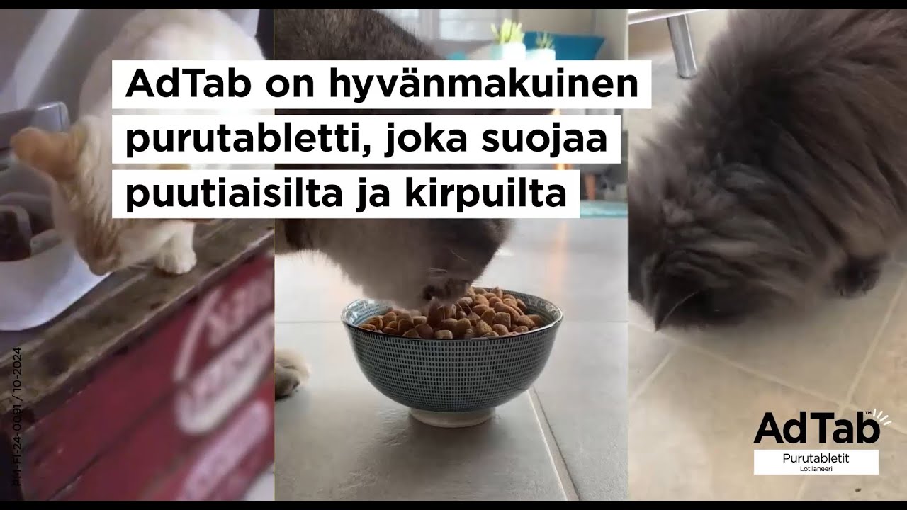 FI AdTab Cat Palatability Video - YouTube