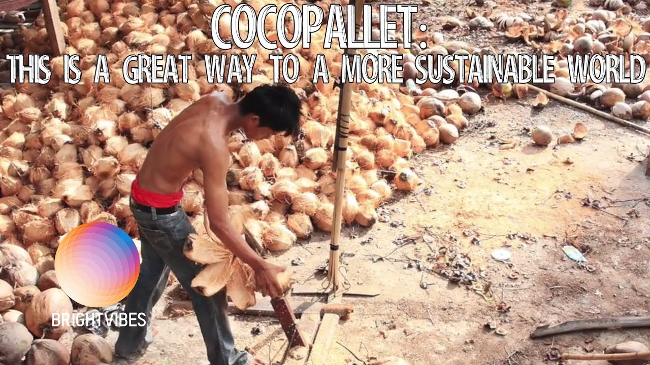 These pallets are made from coconut shells - YouTube