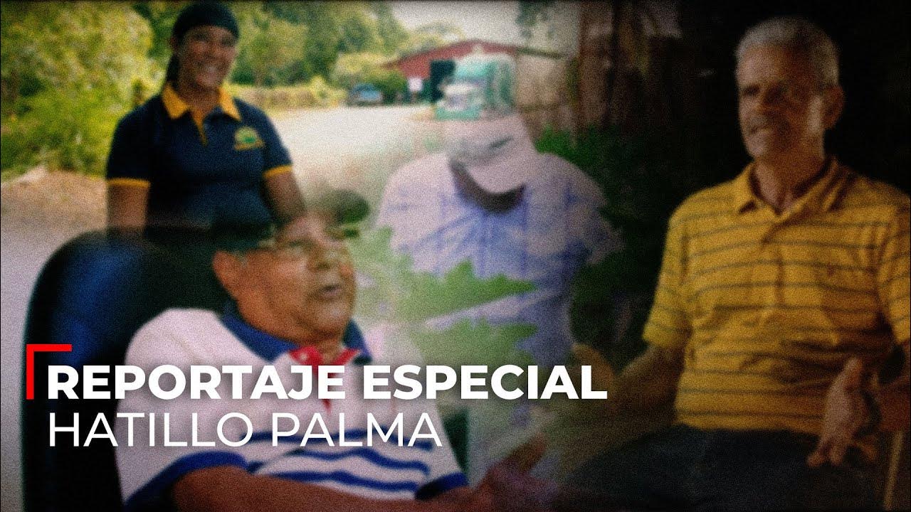 Reportaje Especial - Hatillo Palma - YouTube