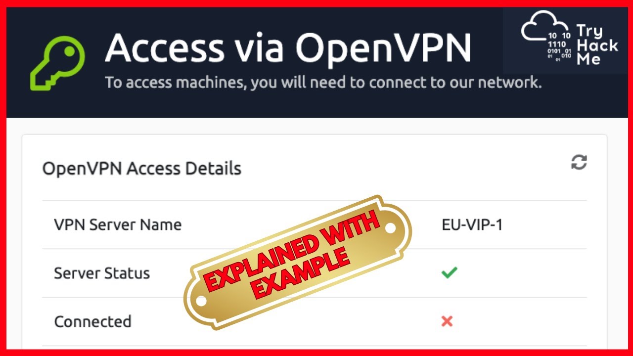 How To Connect To Tryhackme Server Using Openvpn Kali Linux Terminal 3029