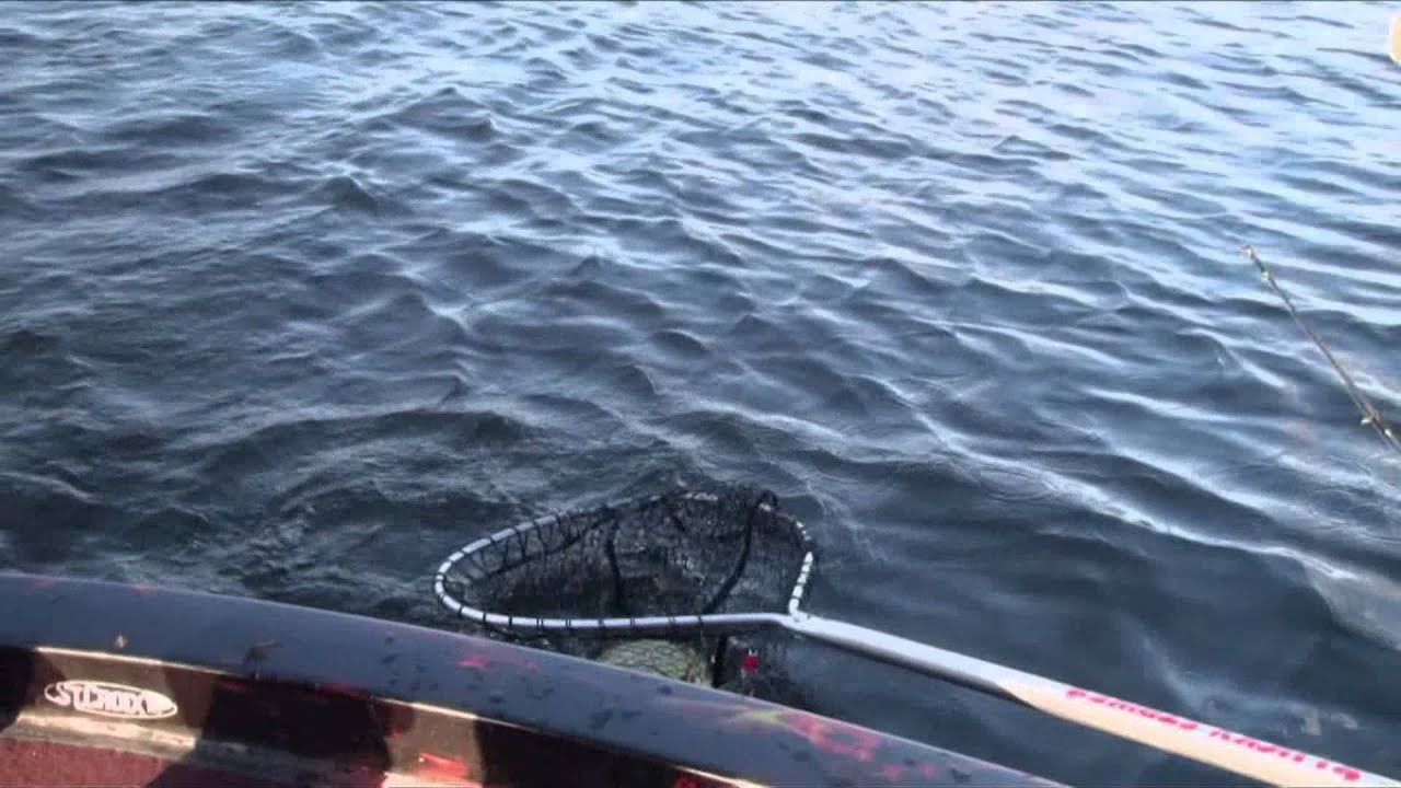 Krappie Kings TV - Monster Black Slabs of Land O Lakes - YouTube