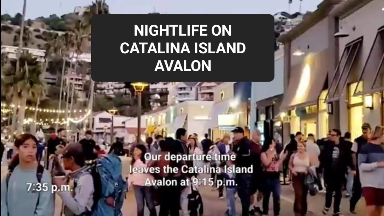 THE CATALINA ISLAND, NIGHTLIFE AT NIGHT. - YouTube