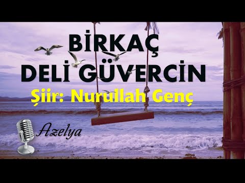 Birkaç Deli Güvercin - Şiir: Nurullah GENÇ - Yorum: Azelya #edebiyat #şair #nurullahgenç #keşfet