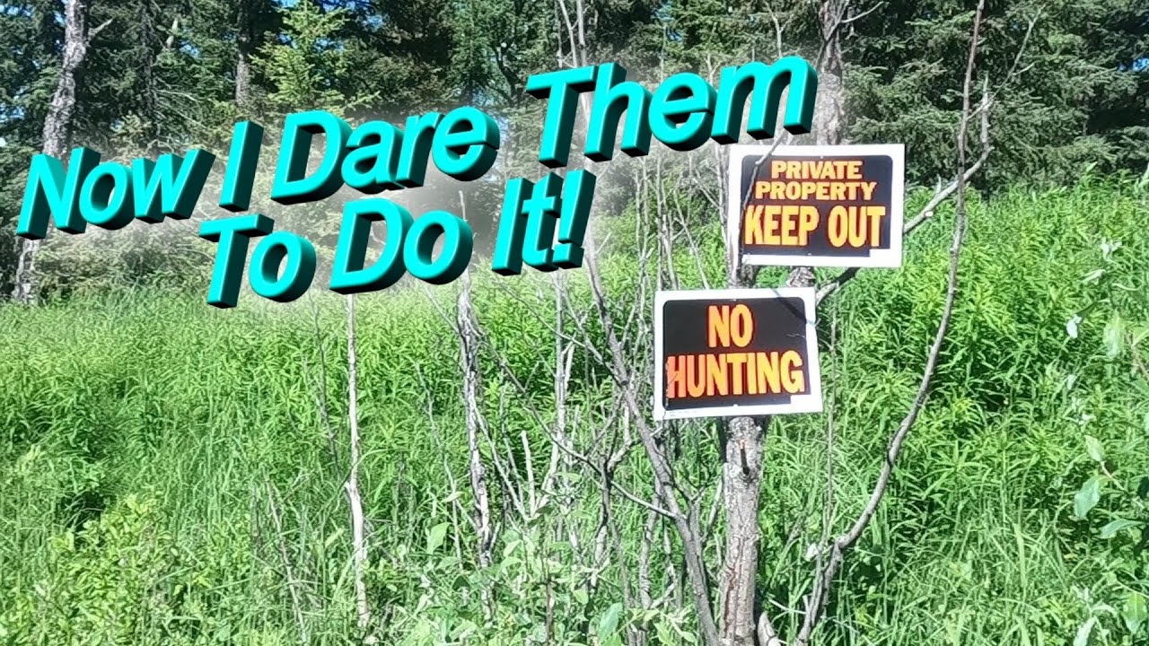Keeping Out the Unwanted/Drone Footage/Volcanoes! - YouTube