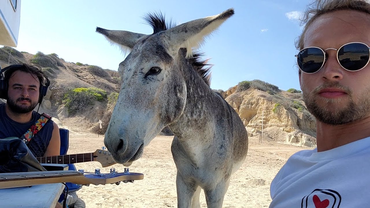 Baja Surf Trip EP6 Curse of the Beach Donkey - YouTube