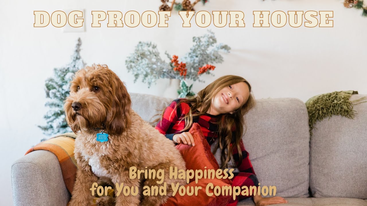 Dog-Proof Your Home in Minutes: Quick and Easy Tips for a Safe and ...