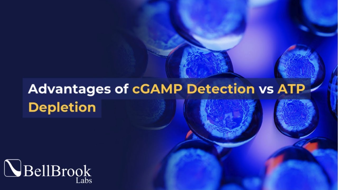 Advantages of cGAMP Detection vs ATP Depletion for Measuring cGAS ...