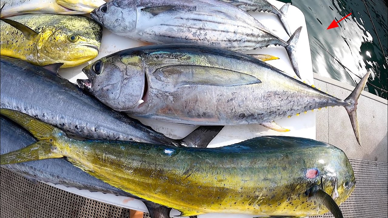 Epic SHALLOW Water Bite Fishing in Hawaii!! Catch Clean Cook - YouTube