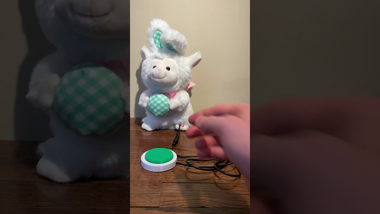 Switch Adapted White Bunny - YouTube