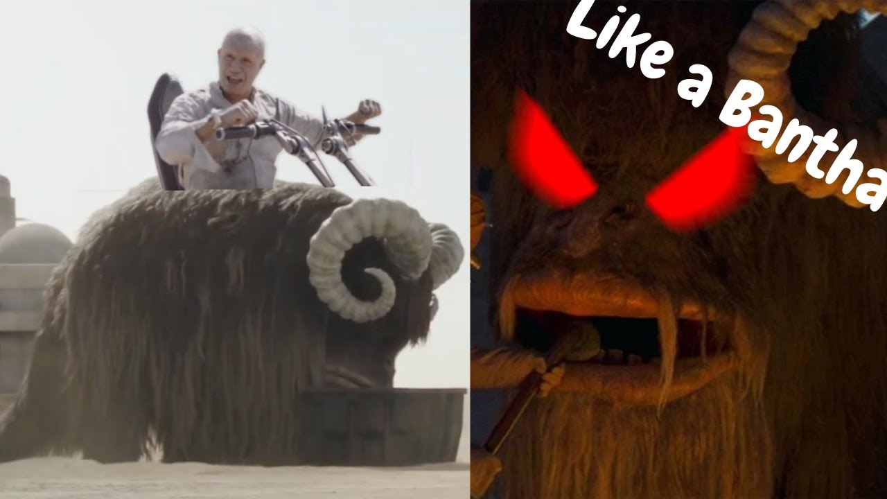 Like a Bantha Meme Compilation - YouTube
