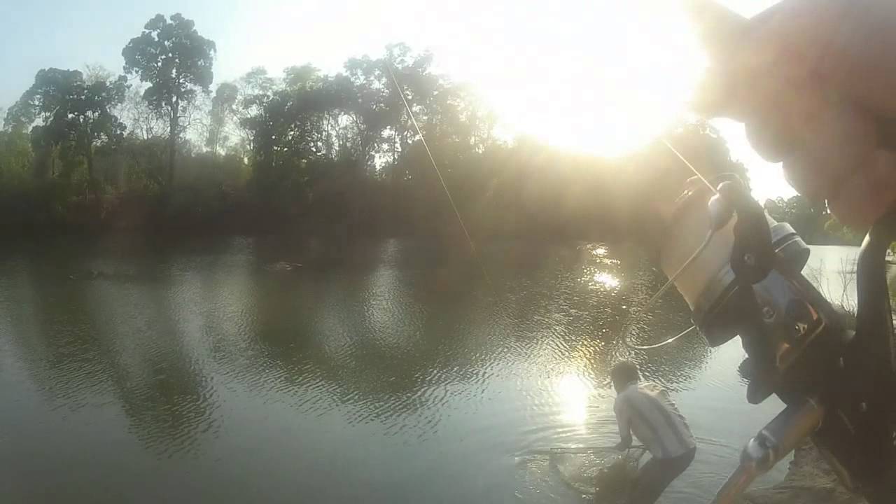Mahseer fishing River Cauvery, Coorg, India - YouTube