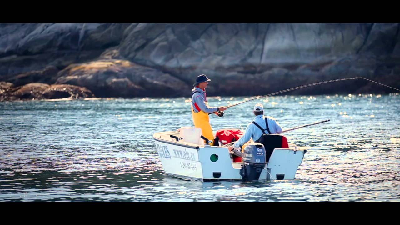 Hakai Land And Sea Fishing Club at Daria Willis blog