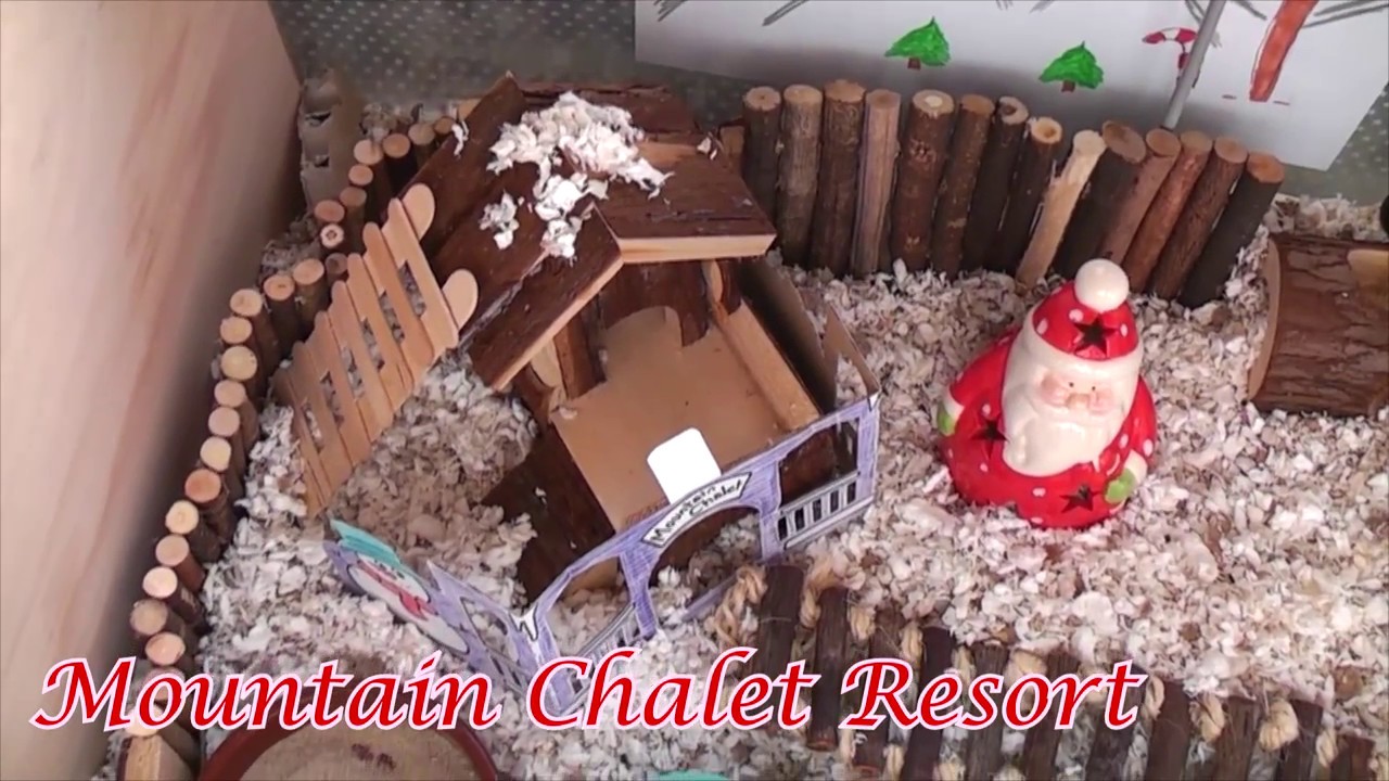 Mountain Chalet Christmas Holiday Themed Cage! - YouTube
