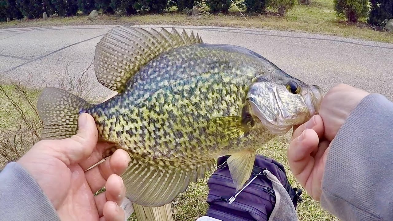 Spring Roadside Slab Crappie Fishing! - YouTube