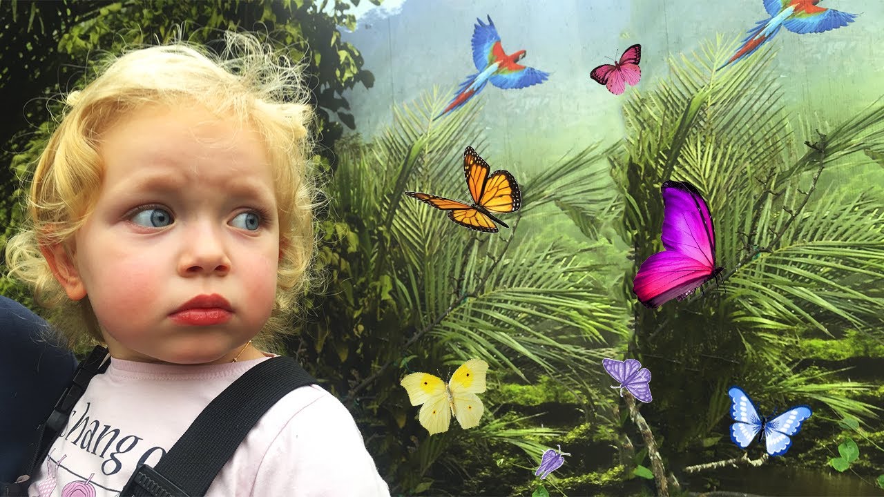 САД БАБОЧЕК 🦋Видео для детей | Butterflies Garden with Polya Kids TV - YouTube