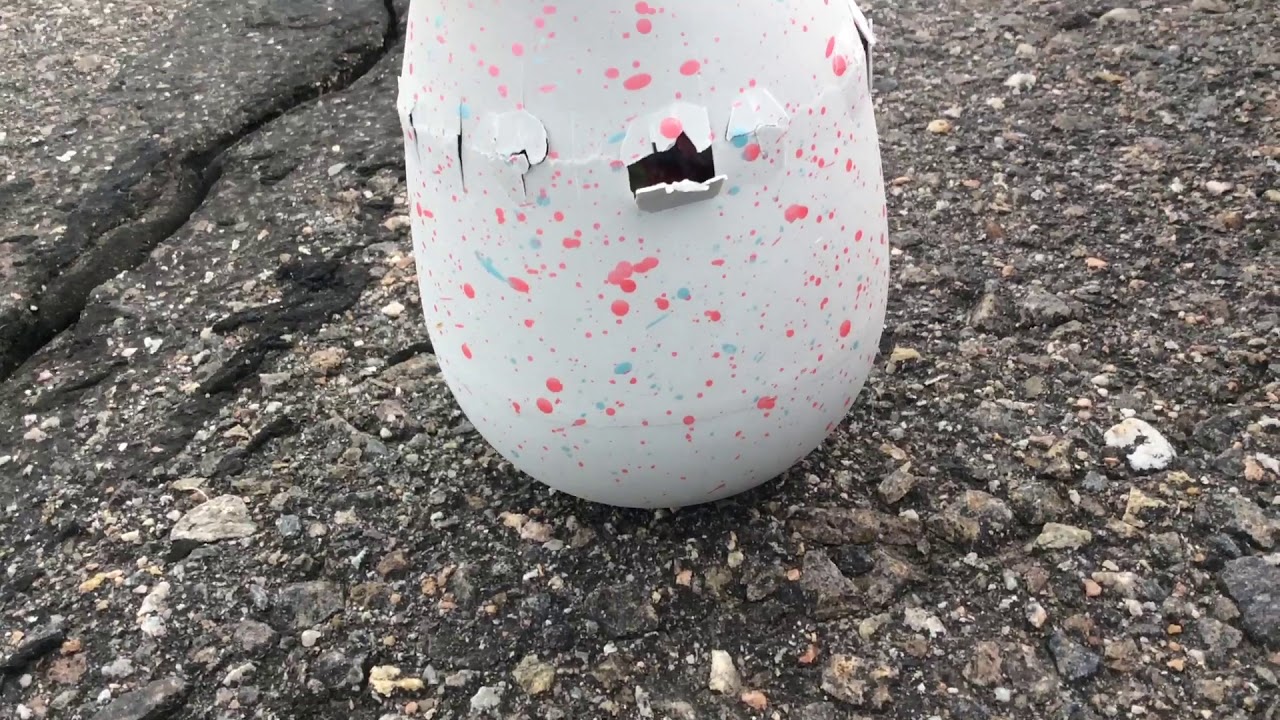 My first hachimal ever!!!New🐣 - YouTube