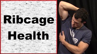 Thoracic Spine & Ribs | Physical Therapy 411