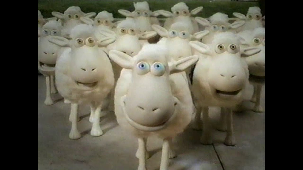 WWBT (NBC) commercials [June 24, 2004] - YouTube