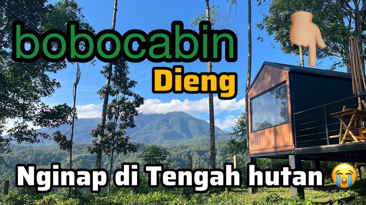 bobocabin Dieng | Review PIUN - YouTube