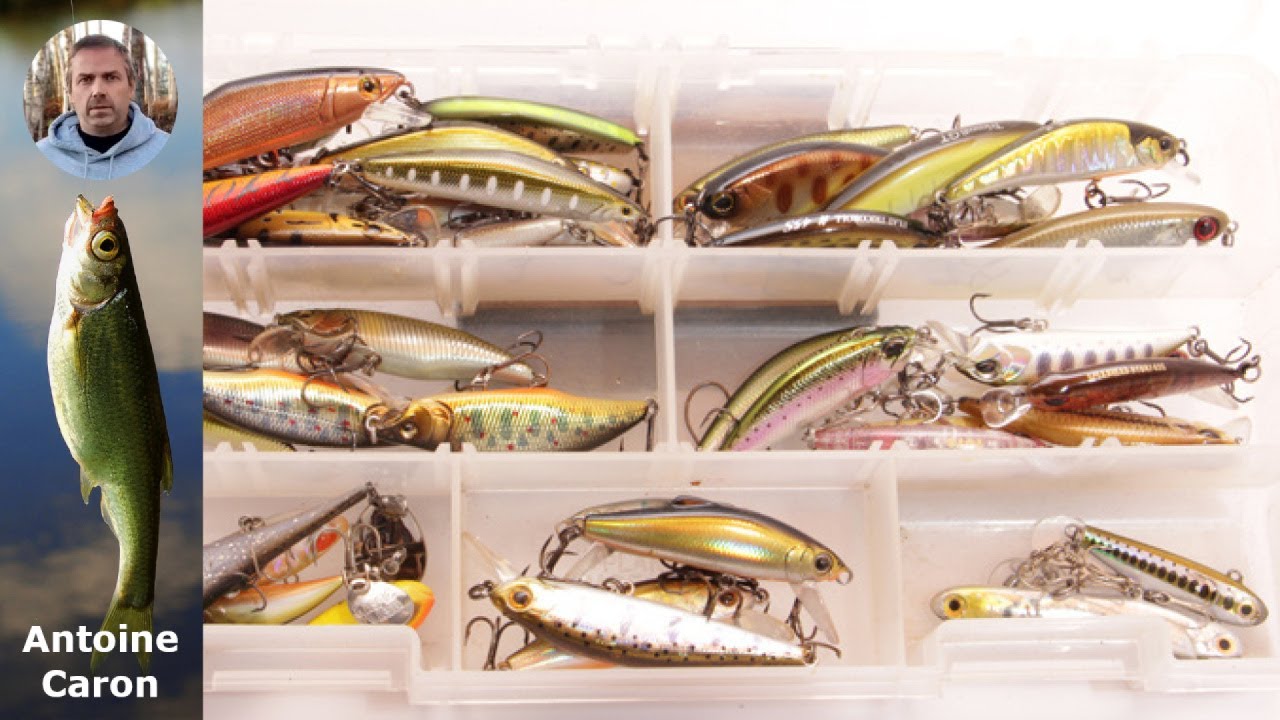 Guide Ultime : Choisir les Meilleurs Poissons Nageurs pour Pêcher la ...
