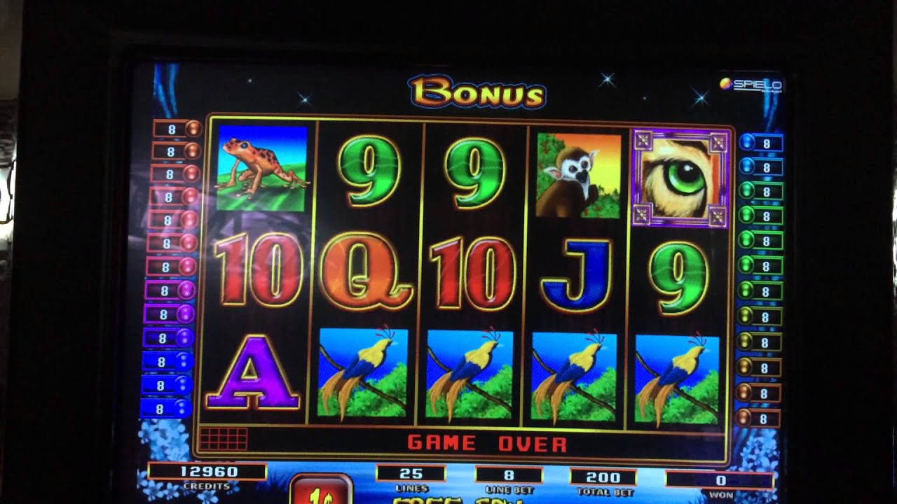 Wild Eyes Slot Machine Bonus - YouTube