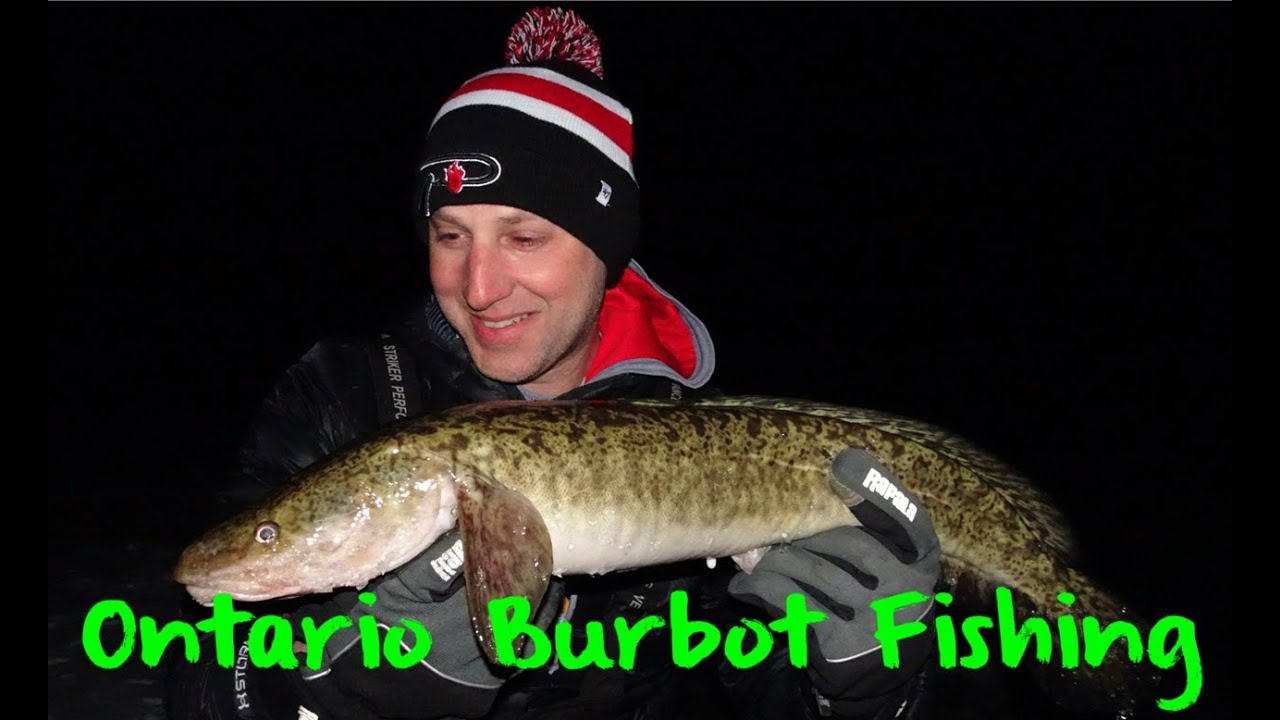 Ontario Burbot Fishing - YouTube