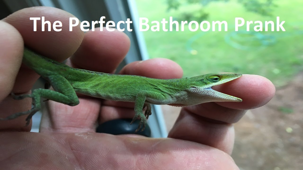 LIZARD PRANK ON MY DAUGHTERS 2020 - YouTube