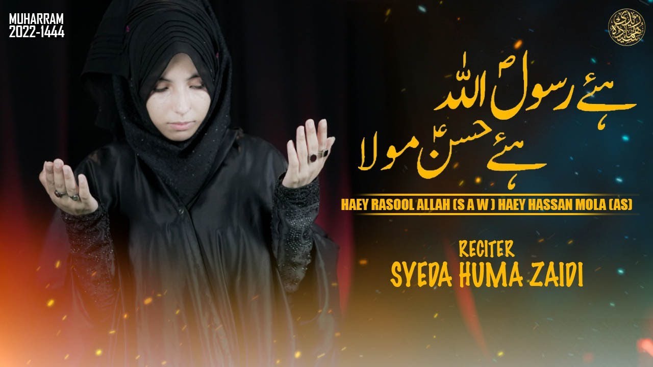 Hayee Rasool Allah Hayee Hassan a.s Mola || New 28 safar noha || Syeda ...