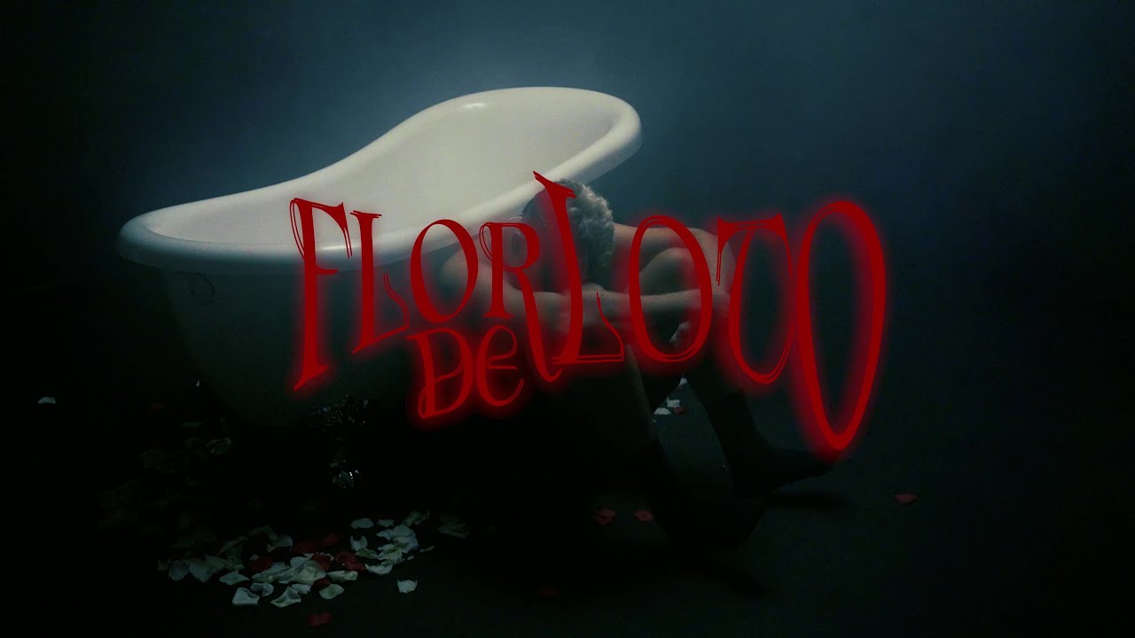 Flor de loto (feat. Varo) - Pau Pergom: Song Lyrics, Music Videos ...