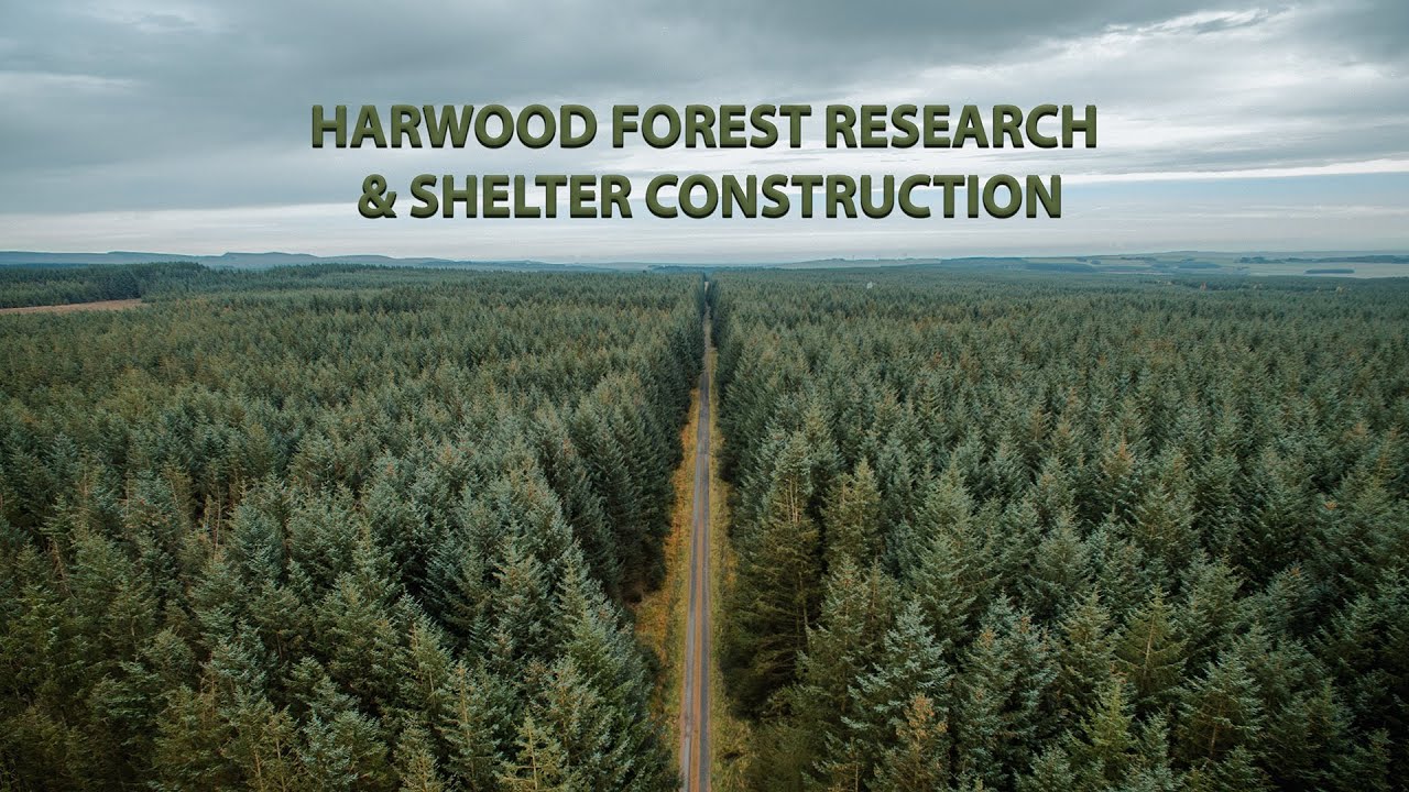 Harwood forest research and shelter construction - YouTube