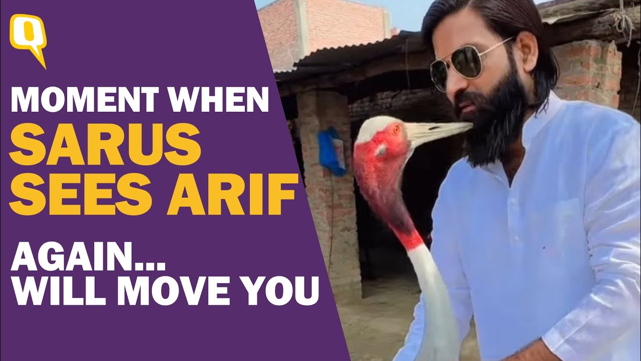 Arif Meets Sarus Days After Separation, The Bird's Reaction Will Melt ...