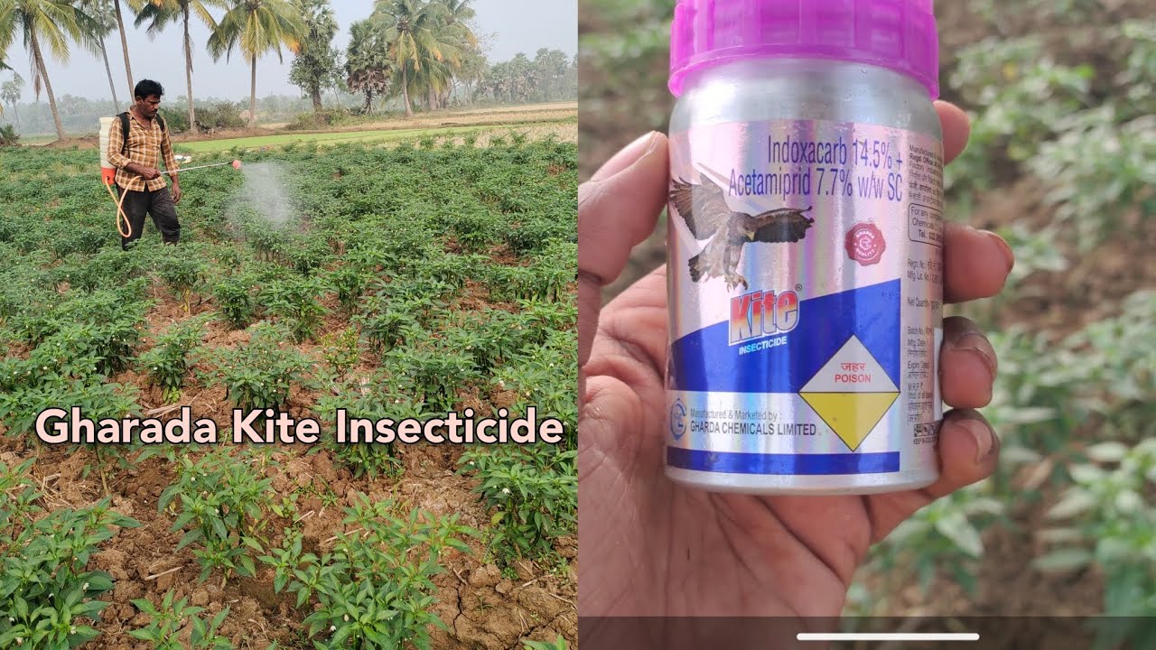 Gharada Kite Insecticide - 50 Ml | Indoxacarb 14% + Acetamiprid 7.7% Sc ...