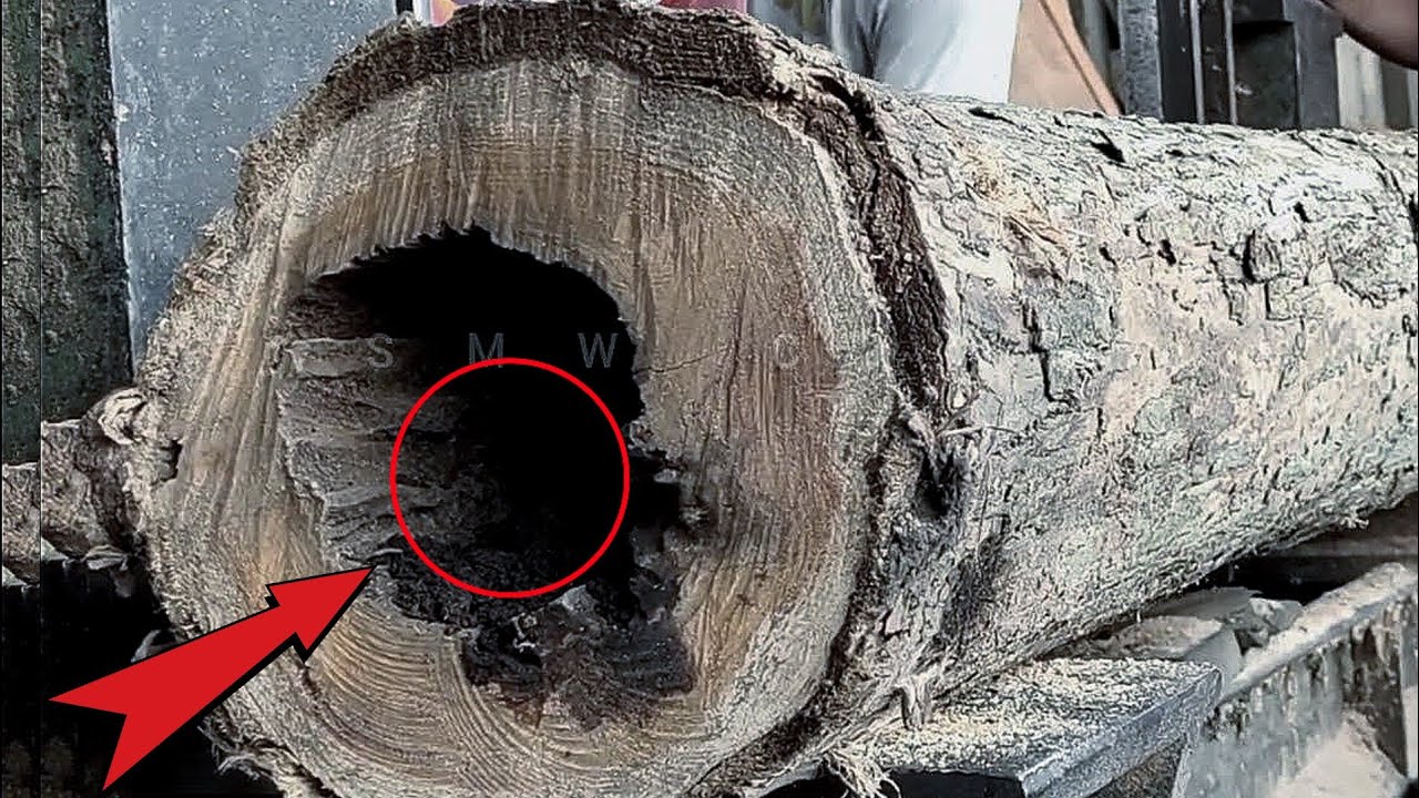 Stroke Recurrence || This Lumber Nearly Killed the Sawmill Boss - YouTube