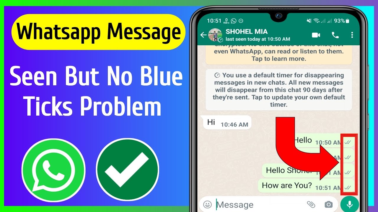 HOW TO FIX Whatsapp Message Seen But No Blue Ticks WhatsApp No Blue how-to-fix-whatsapp-message-seen-but-no-blue-ticks-whatsapp-no-blue