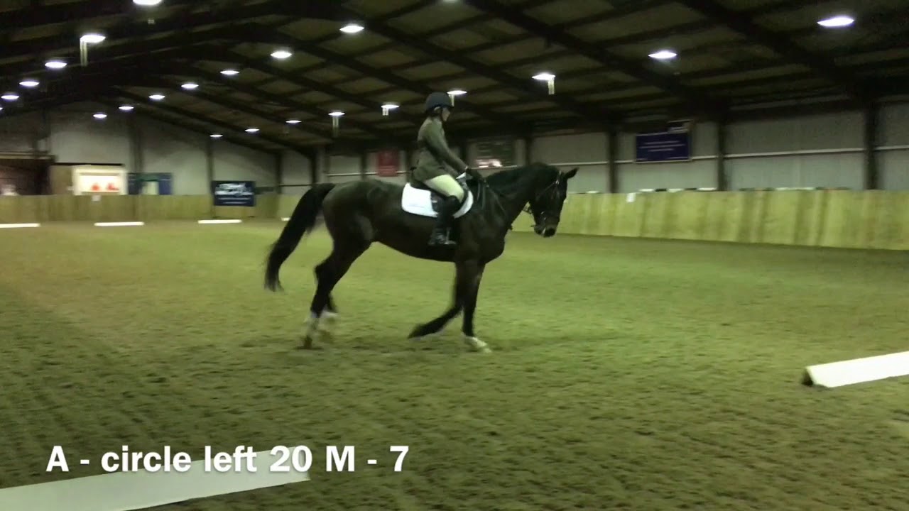 BD prelim 2 2016 with judges scores 70.34% & comments - YouTube