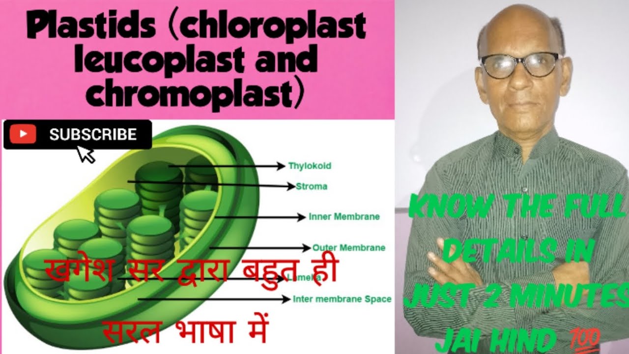 plastids chloroplast leucoplast and chromoplast #education #khansir ...