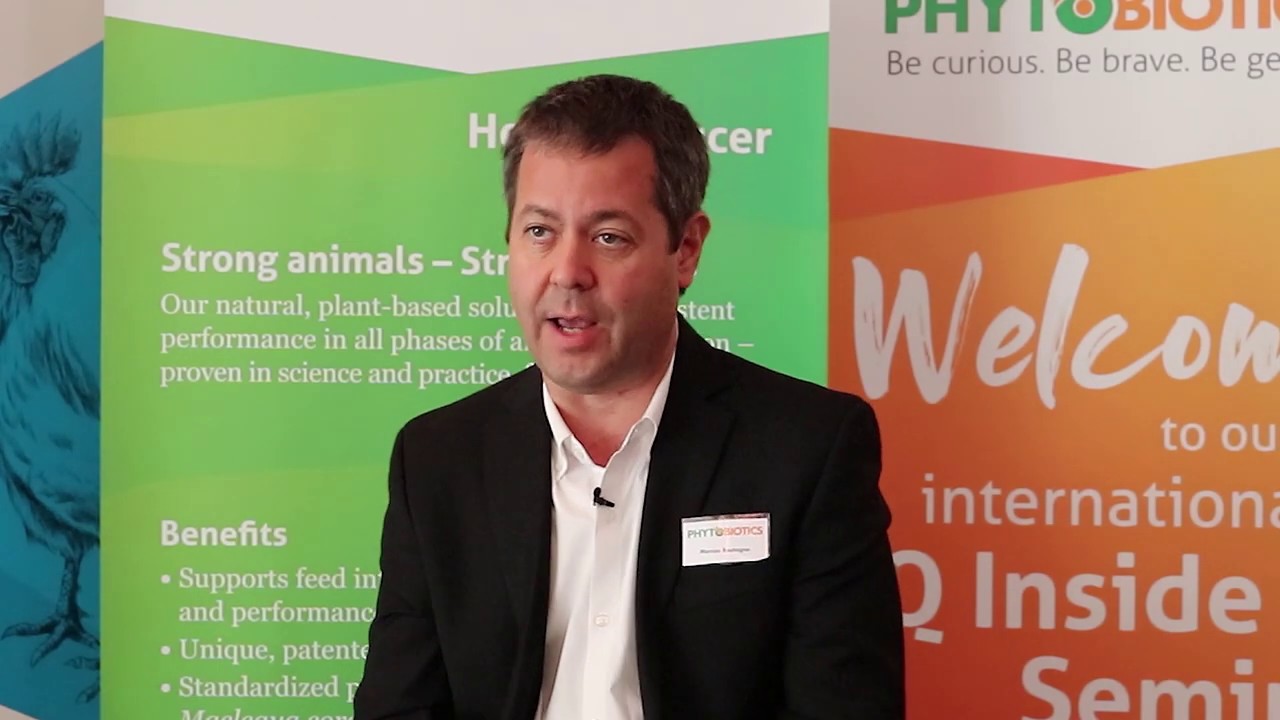 Antibiotic withdrawal – Marcos Rostagno - YouTube