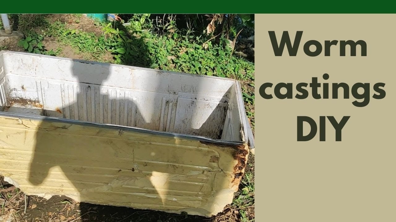 Worm castings / worm juice DIY - YouTube