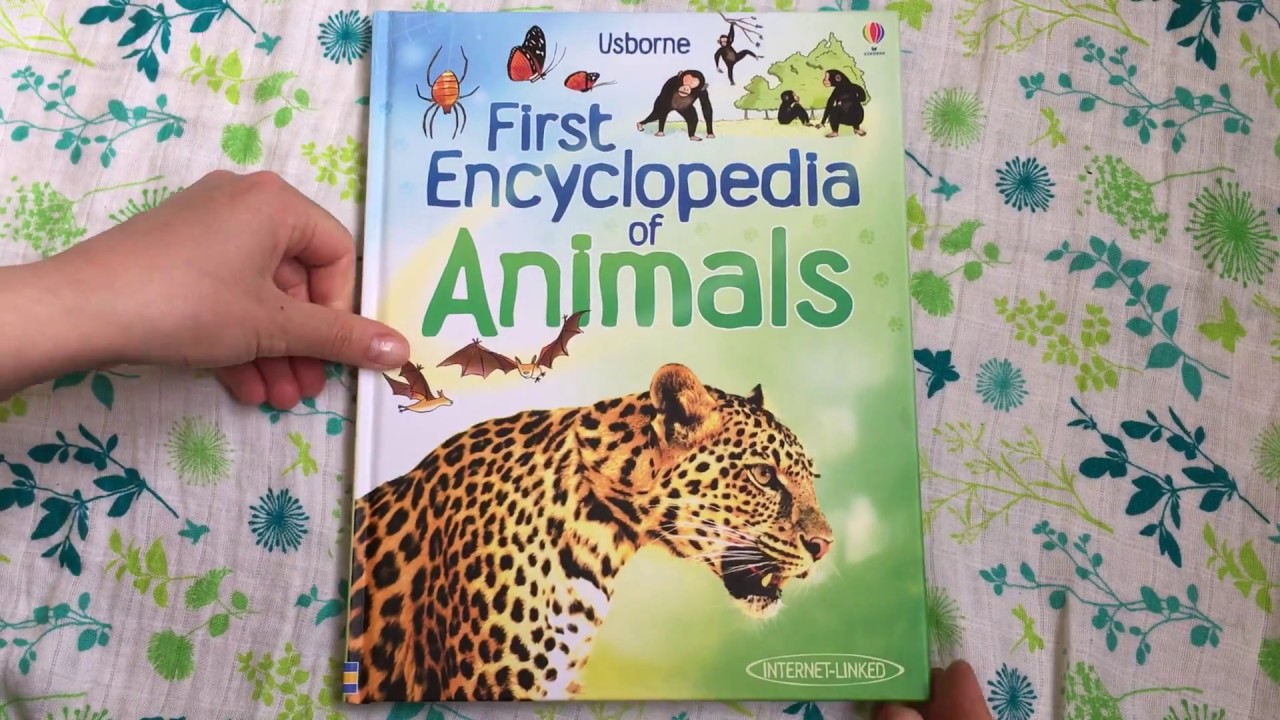 Usborne First encyclopedia of animals. Bookowsky.com.ua - YouTube