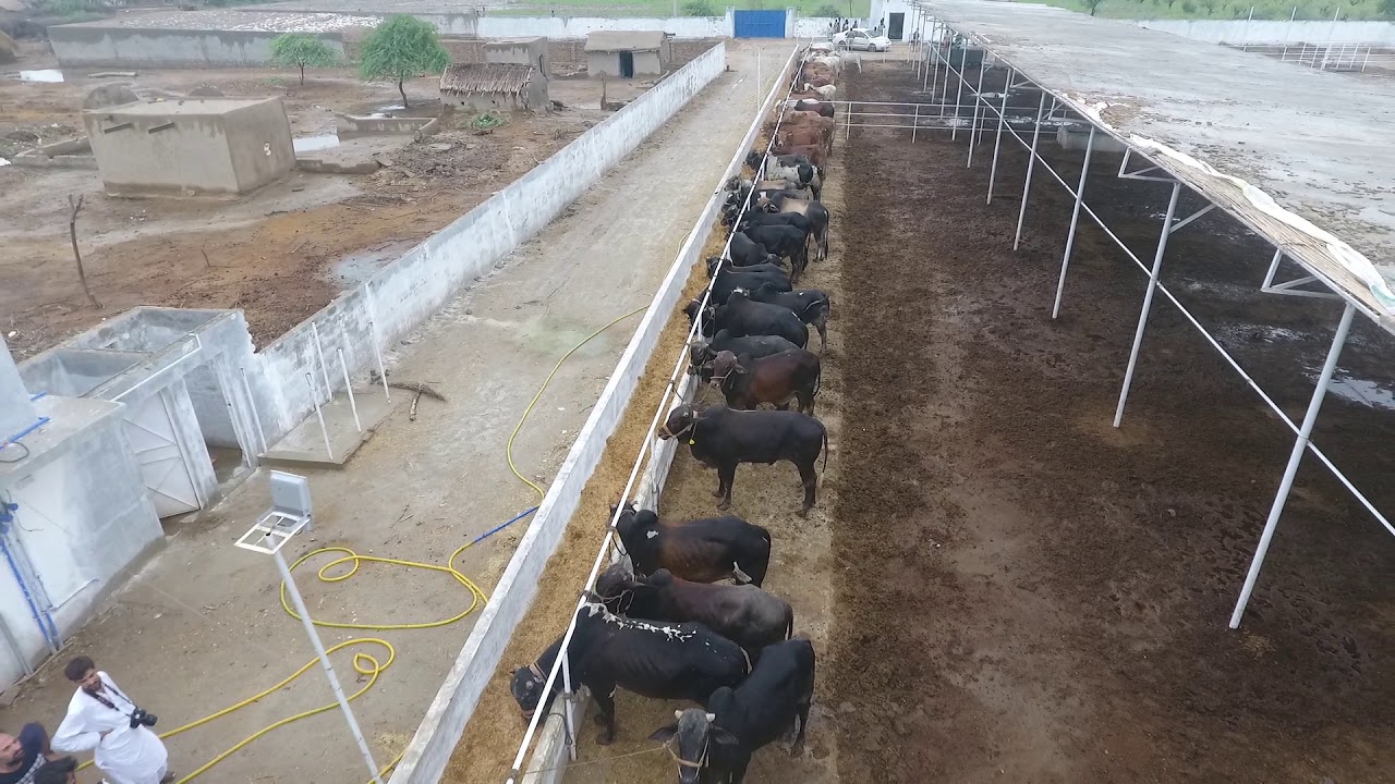 REAL FARM LIFE DRONE FOOTAGE - YouTube