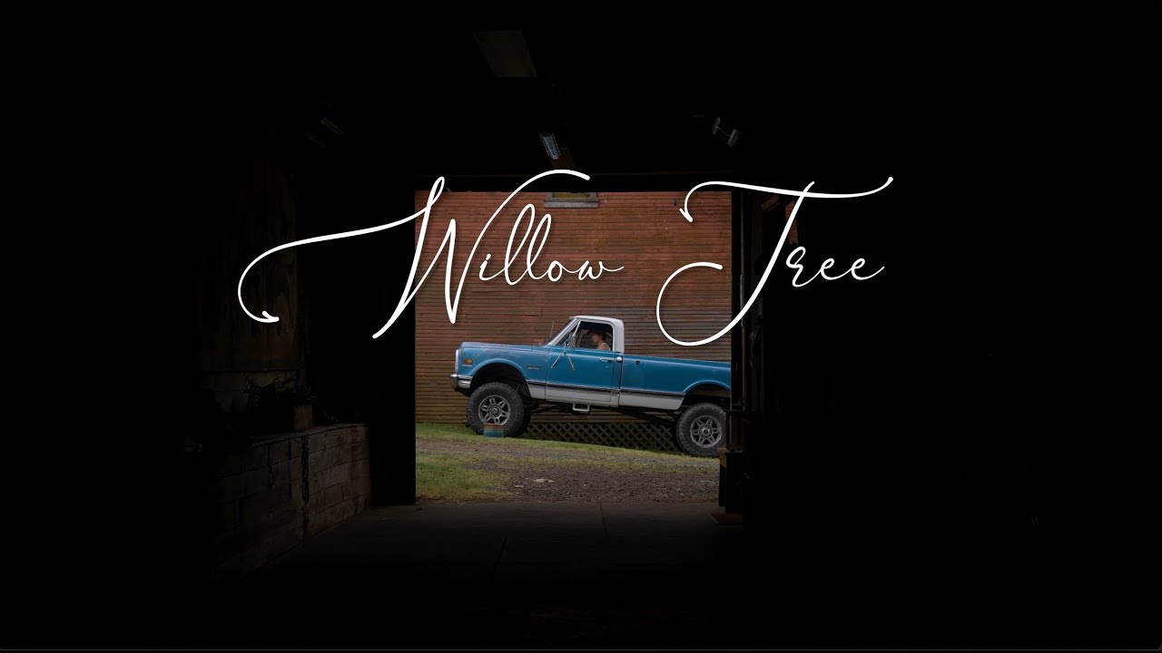 Willow Tree - Audrie Powell (Official Music Video) - YouTube