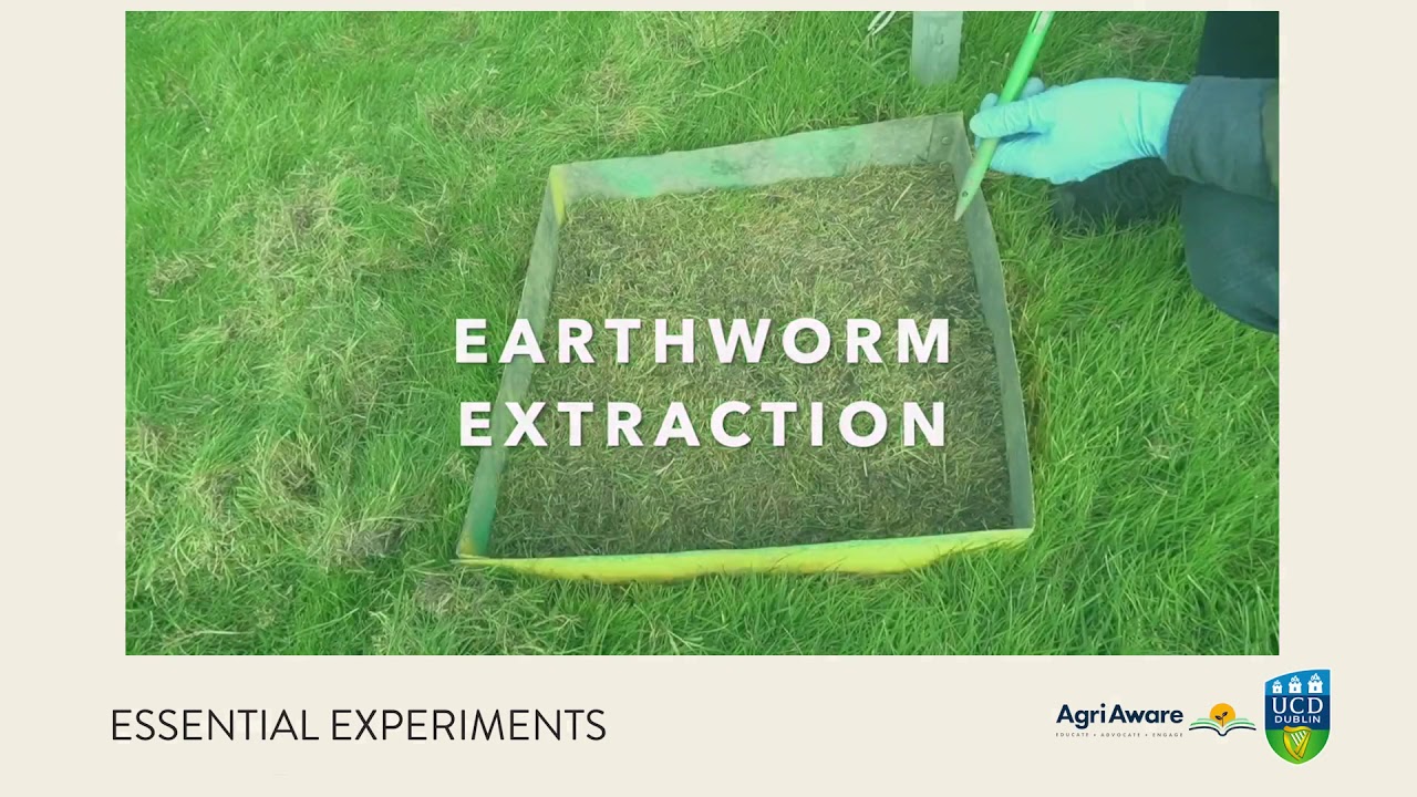 Essential Experiments Series 2021 Soil Biology Field Practical ...