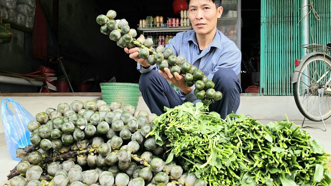 Harvest Salak Fruit & Vegetable Goes to the market sell - gardening ...