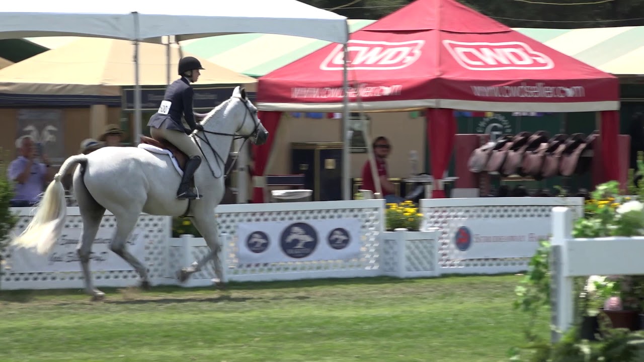 414 - Karli Postel - Robin of Loxley - YouTube