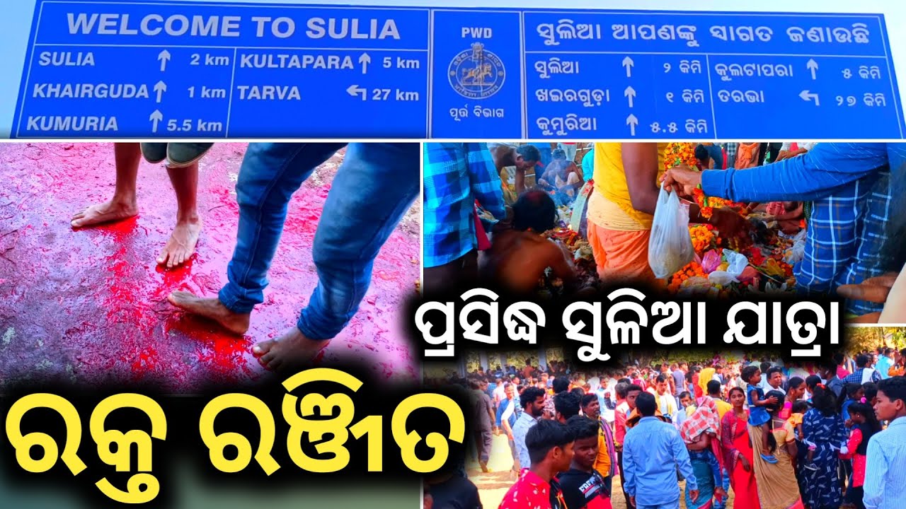 SULIA JATRA 2022 😲 ରକ୍ତ ରଞ୍ଜିତ ସୁଳିଆ ପୀଠ ପଡିଲା ସହ ସହ ବଳି 🙏 FAMOUS JATRA ...