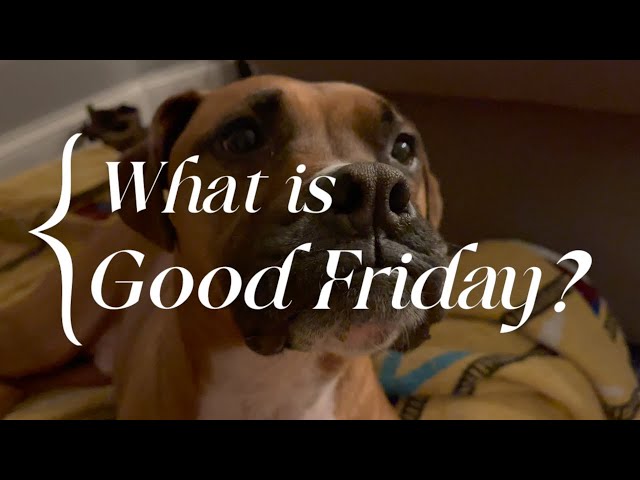 Friday Dog Saying