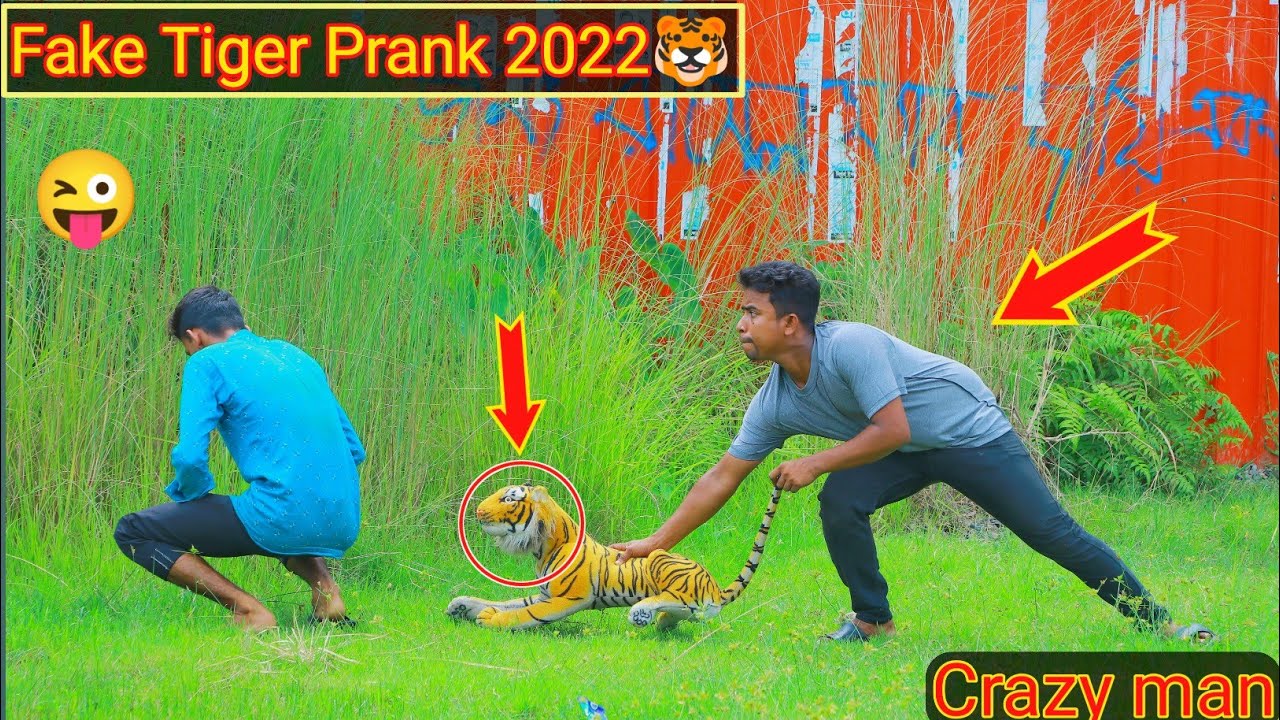 Fake Tiger Prank on Girl and Public !! Fake Tiger vs Public Reaction ...