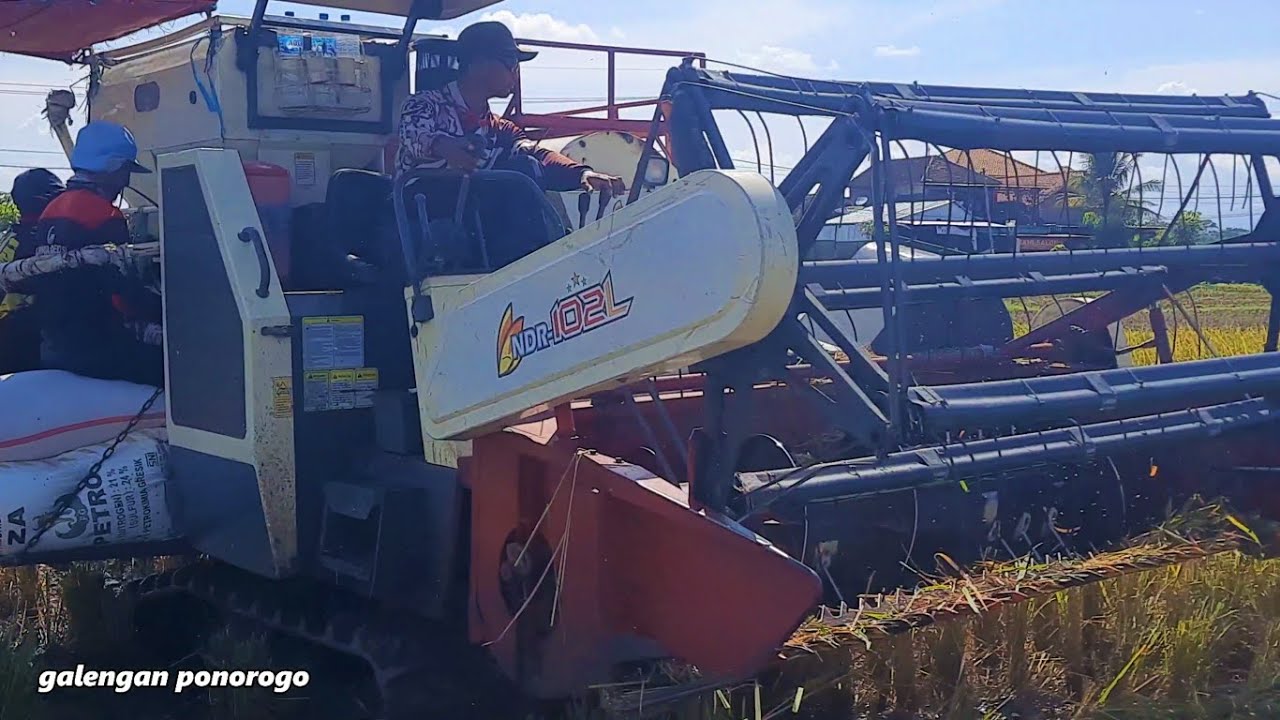 Rice harvesting machine working in wetland | Maxxi Bimo NDR 102 L ...